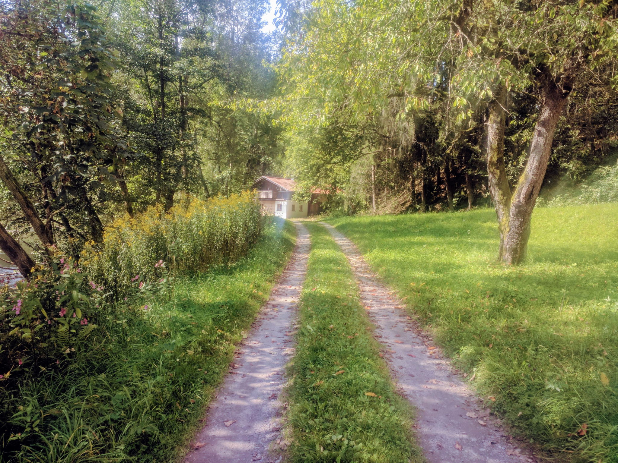 Regental | Trail-Kompass