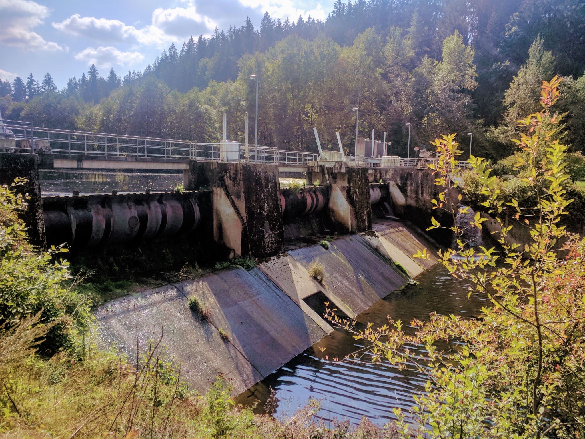 Regental | Trail-Kompass