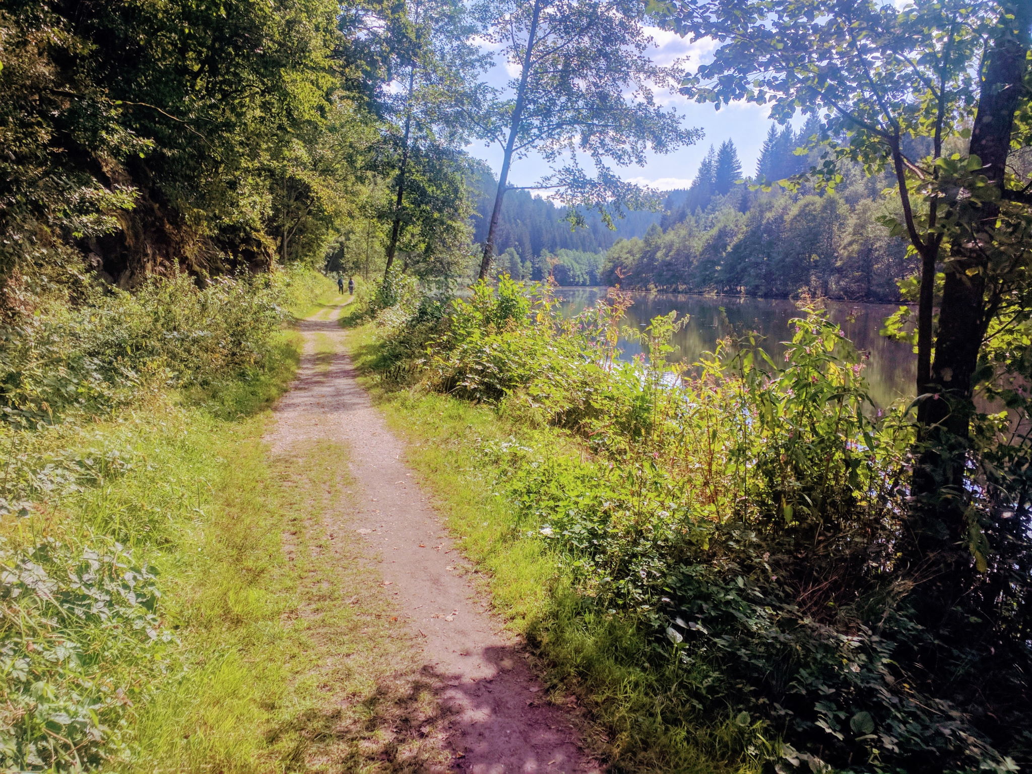 Regental | Trail-Kompass